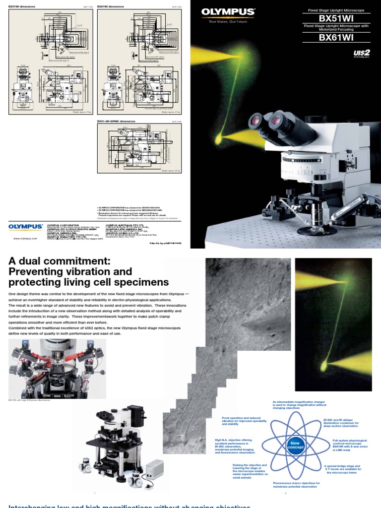 BX51WI/BX61WI Fixed Stage Upright Microscope | PDF | Microscopy ...