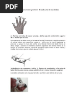 Anatomía y Cuidado de la Rata Wistar | PDF