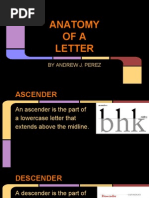 A Visual Guide of Anatomy Typography | PDF | Serif | Letter Case