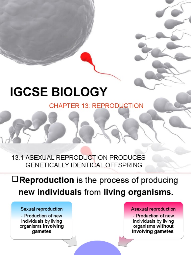 Igcse Biology Reproduction | PDF | Pollination | Birth Control