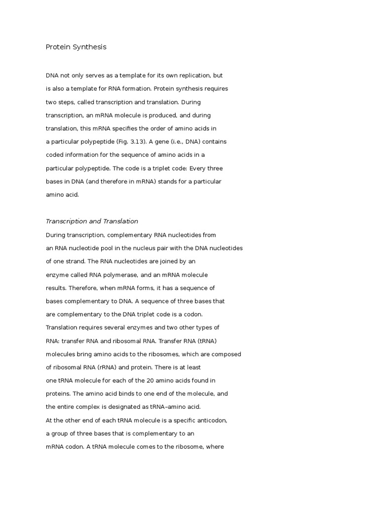 Understanding Protein Synthesis Process | PDF