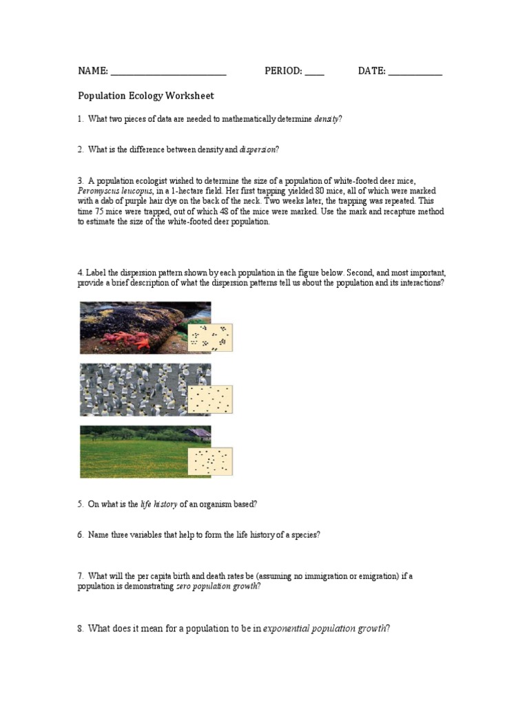 Population Ecology Worksheet | PDF | Population Growth | Ecology