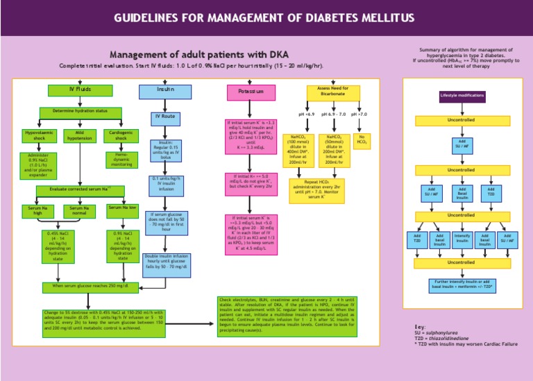 Guidelines for the Management of Diabetes Mellitus: A Treatment ...