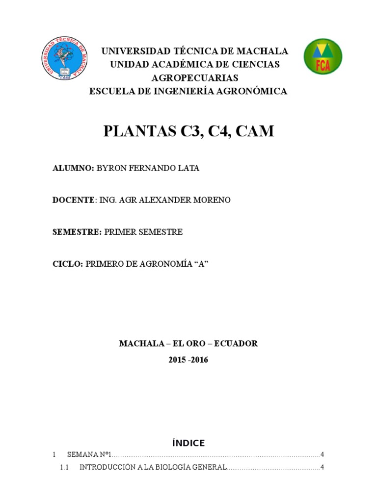 Plantas Del Grupo C3, C4, CAM | PDF | Citoplasma | Mitosis