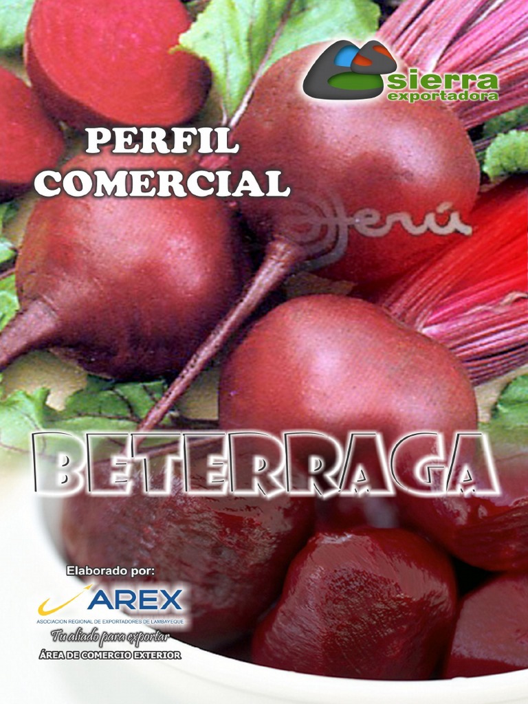 Perfil Comercial de la Beterraga | PDF | Magnesio | Alimentos