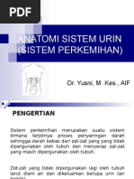 Pemahaman Tractus Urinaria dan Fisiologinya | PDF