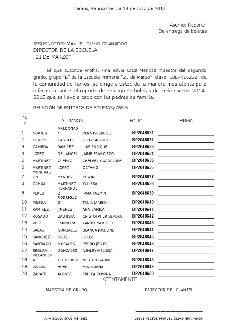 Formato de Entrega de Boletas | PDF