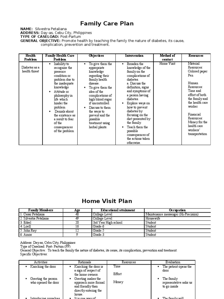 Family Diabetes Home Visit Plan | PDF | Diabetes | Health Care
