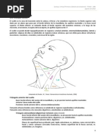 Niveles Axilares de Berg | PDF | Finanzas y dinero