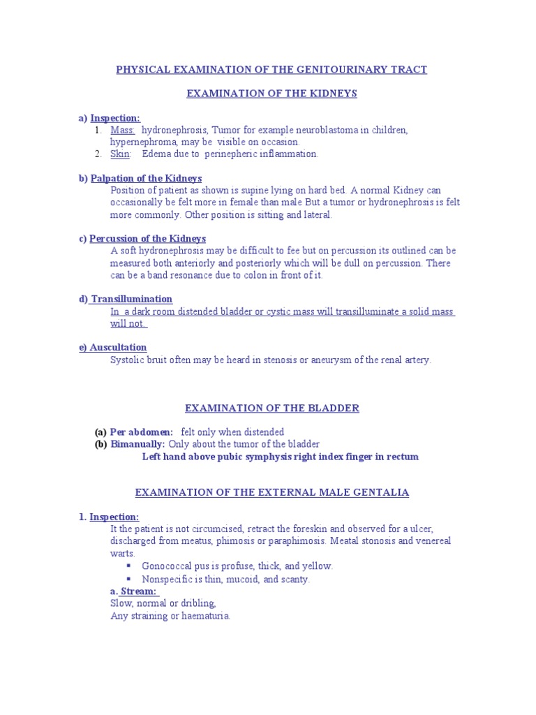 Physical Examination of The Genitourinary Tract | PDF | Urinary Bladder ...
