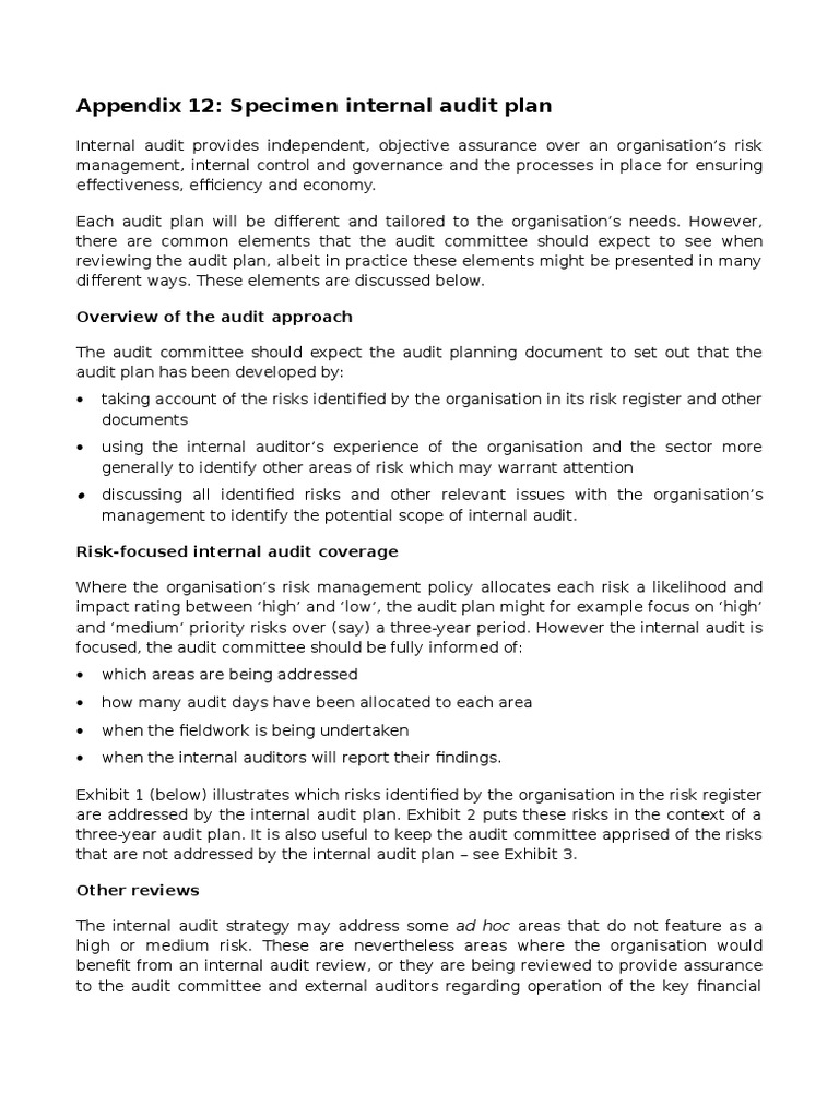 Appendix 12 Specimen Internal Audit Plan | PDF | Business
