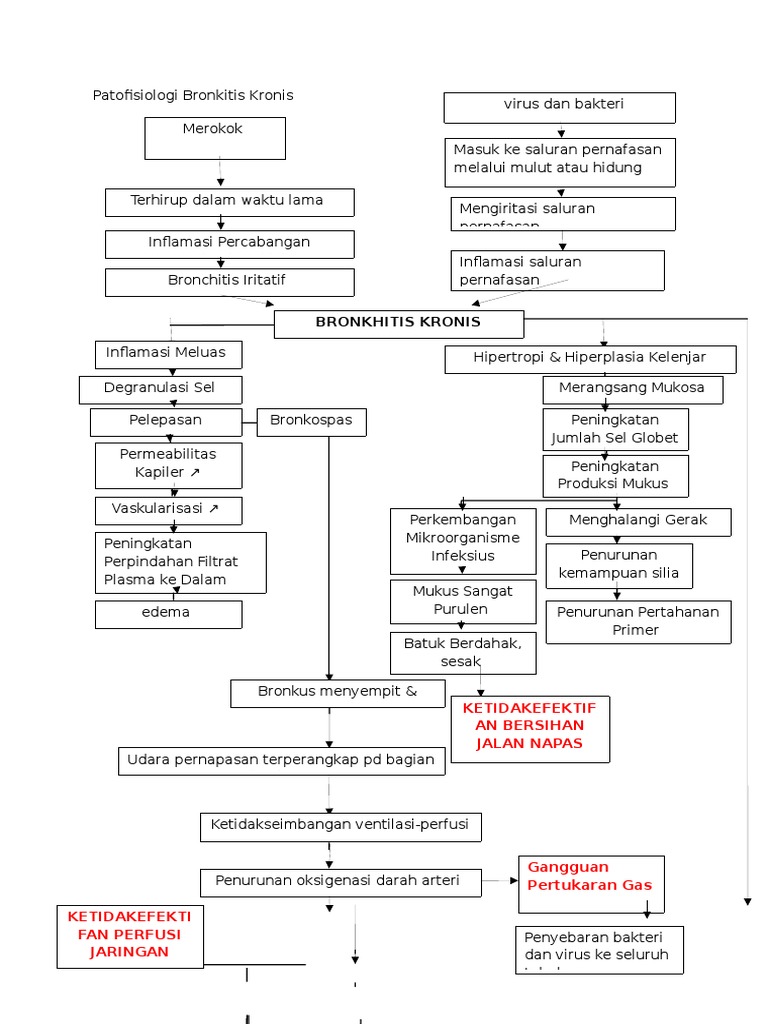 Patofisiologi Bronkitis Kronis | PDF