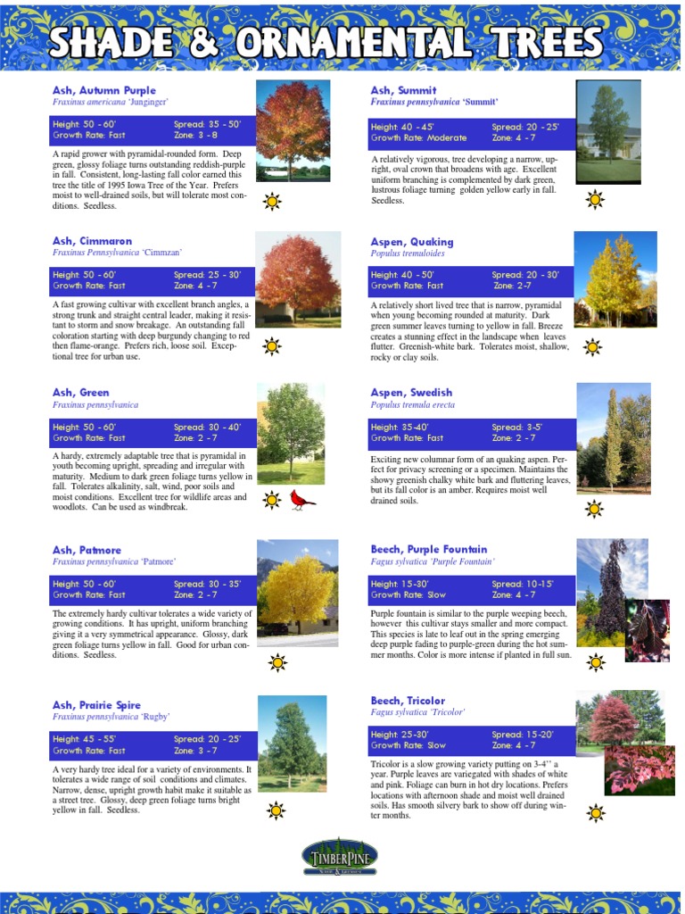 Tree Catalog for Varieties and Growth | PDF | Maple | Mali