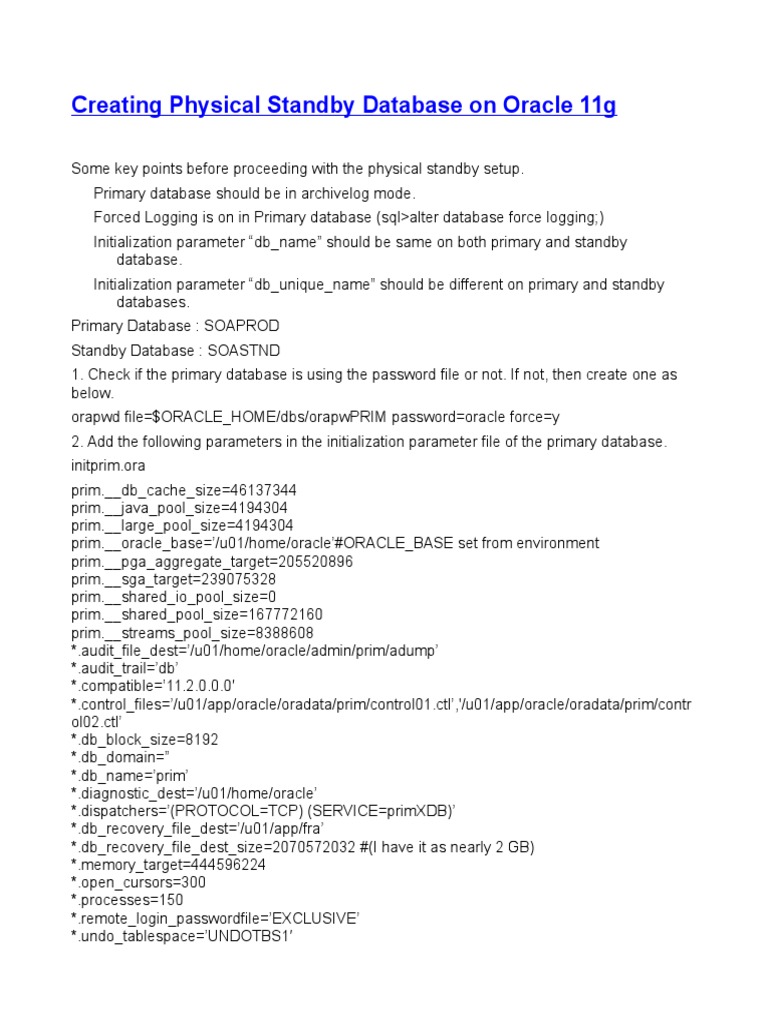 Creating Physical Standby Database On Oracle 11g Pdf Port Computer Networking Oracle