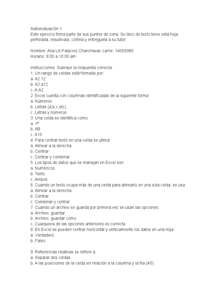 Autoevaluación sobre conceptos básicos de Excel | PDF | Microsoft Excel | Libros