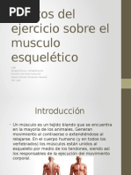Escala de Lovett | PDF | Músculo esquelético | Contracción muscular