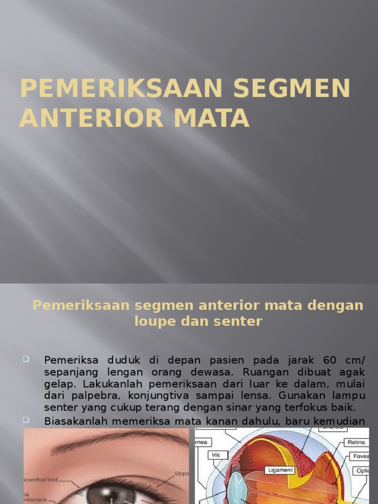 Pemeriksaan Segmen Anterior dan Posterior Mata | PDF