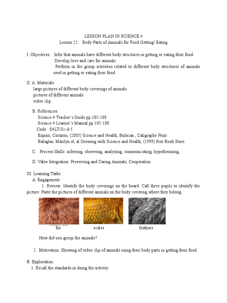 Science 4 Parts of Animals For Getting Food | PDF | Foods | Lesson Plan