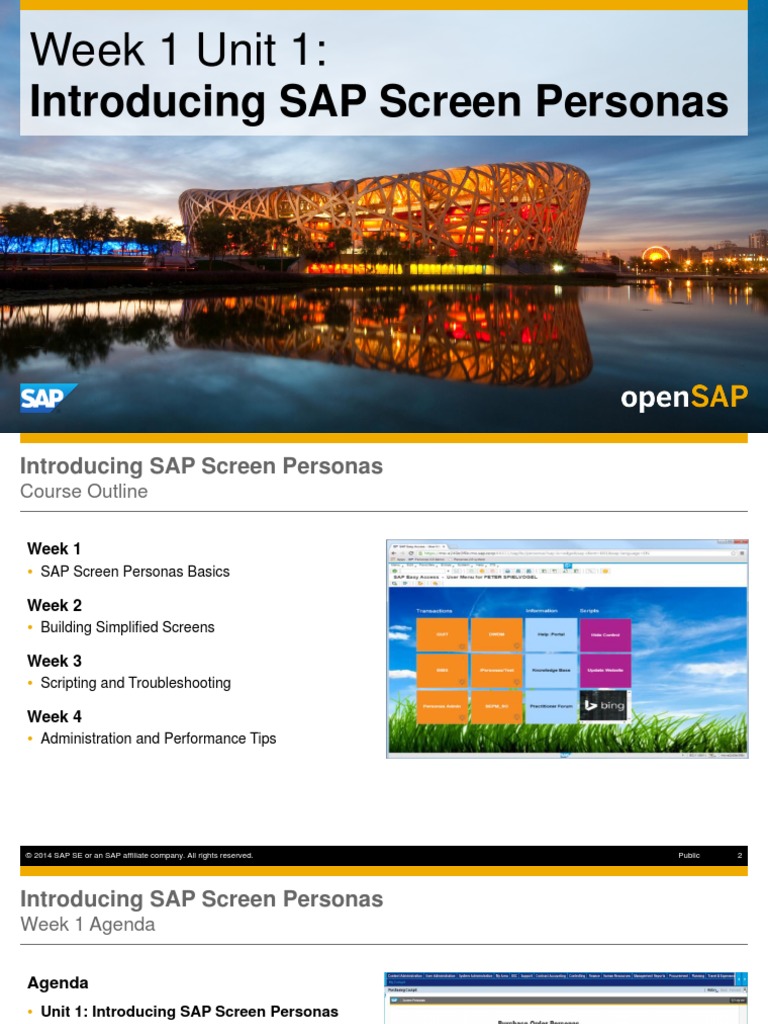 Introducing SAP Screen Personas: Week 1 Unit 1 | PDF | Sap Se ...