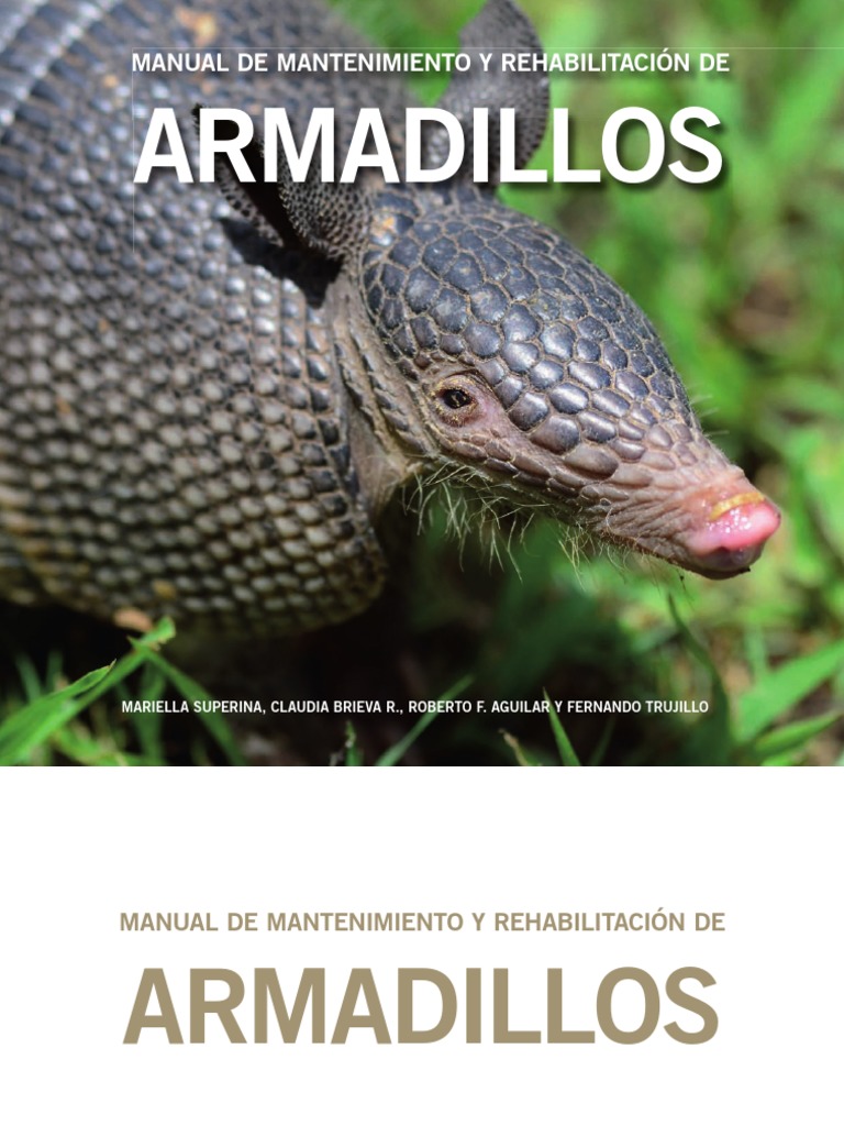 Manual Mantenimiento Rehabilitacion Armadillos | PDF | Salud y bienestar | Medicina