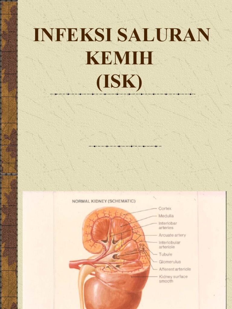 Presentasi Infeksi Saluran Kemih (Isk) Pada Anak | PDF