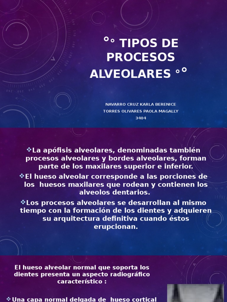 Tipos de Procesos Alveolares | PDF | Diente humano | Hueso