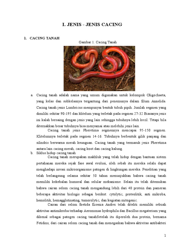Jenis Jenis Cacing | PDF