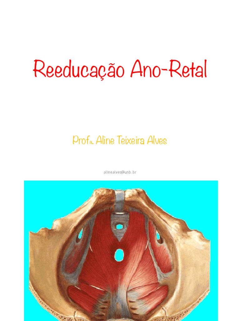 Anatomia e Fisiologia do Trato Gastrointestinal Inferior: Reto ...