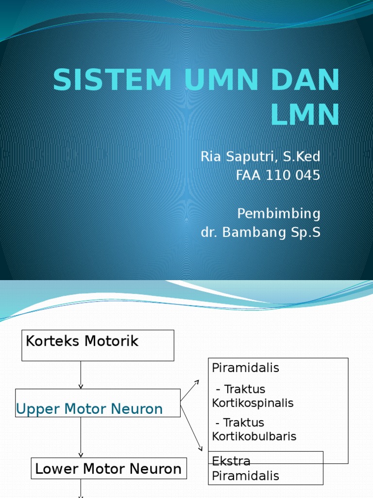 LMN Dan Umn | PDF