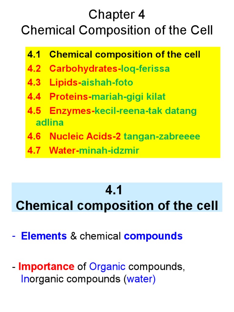 C4 Composition | PDF | Translation (Biology) | Carbohydrates