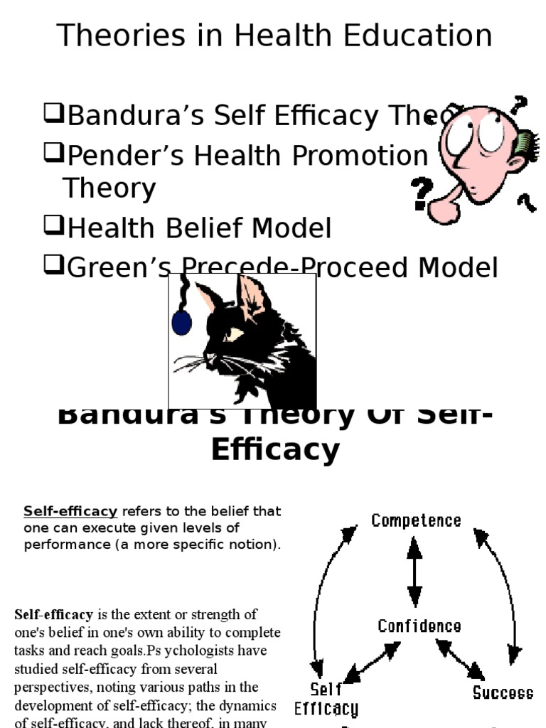 Theories in Health Education | PDF | Self Efficacy | Psychology
