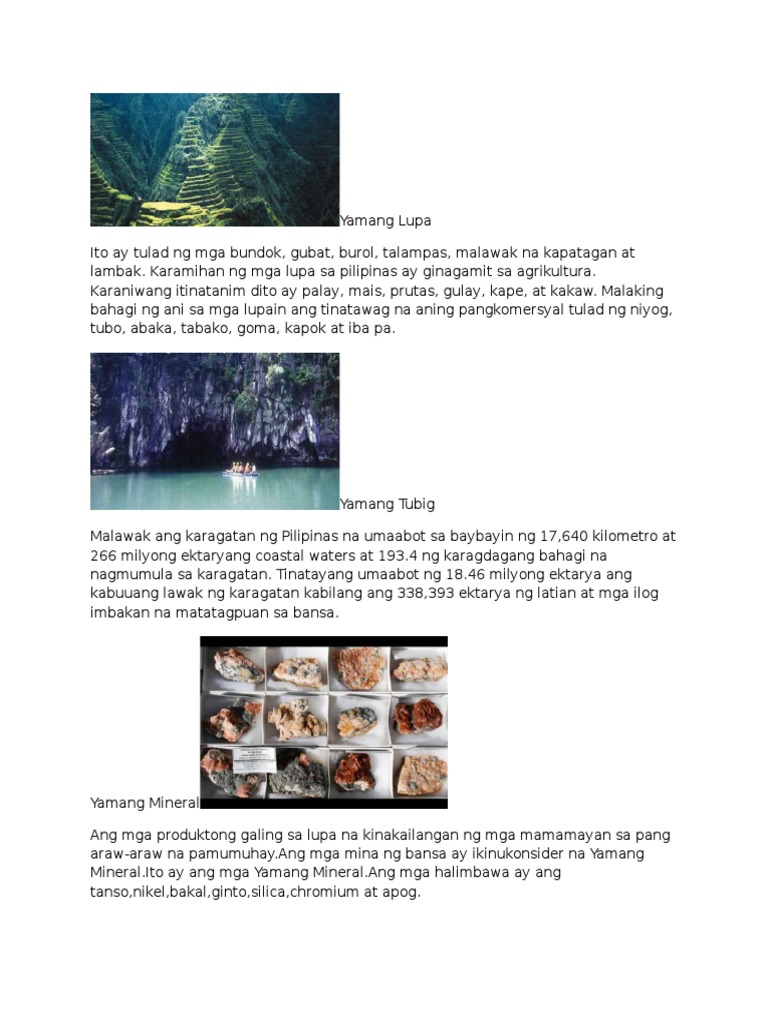 Yamang Likas Ng Pilipinas Sibika Lesson Plan 3 | PDF