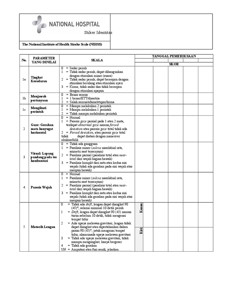 NIHSS Skor Indonesia (Final Version) | PDF