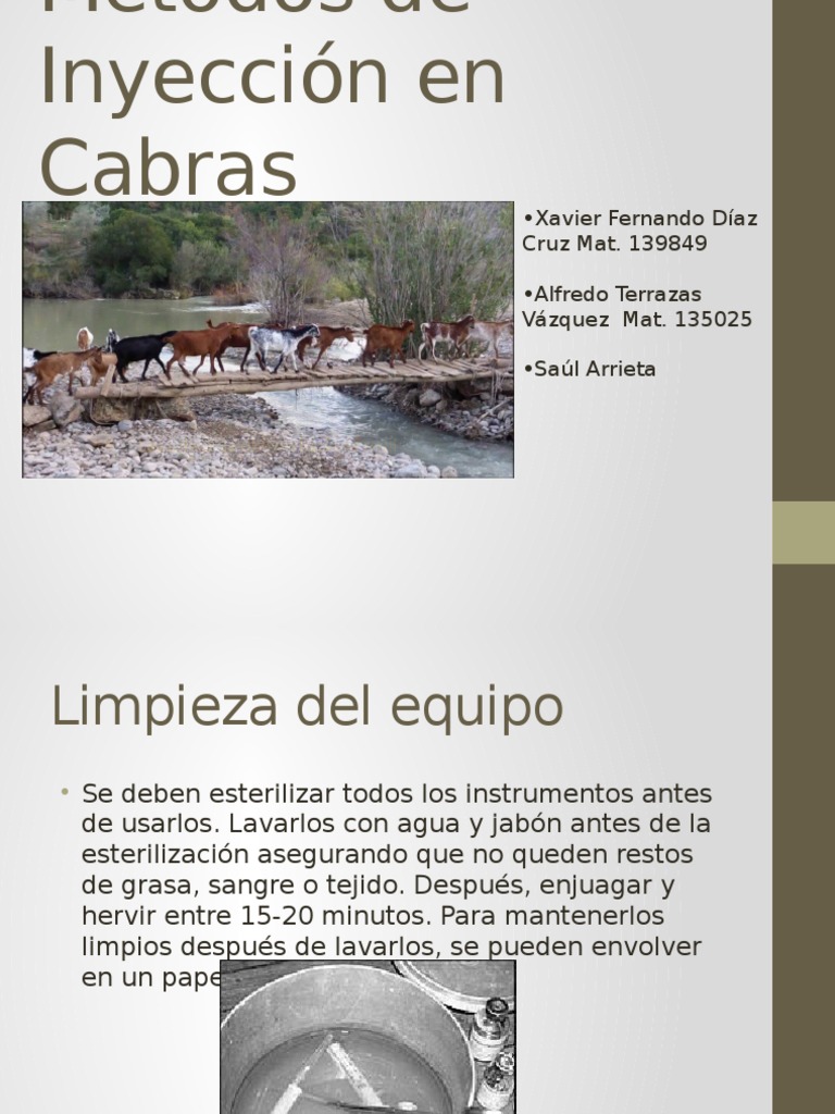 Tecnicas de Inyeccion en Caprinos | PDF | Inyección (medicina ...