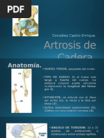 Articulación Coxofemoral Cuadro Integrador | PDF | Rodilla | Cadera