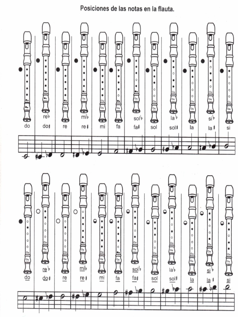 Posiciones de Flauta Dulce | PDF