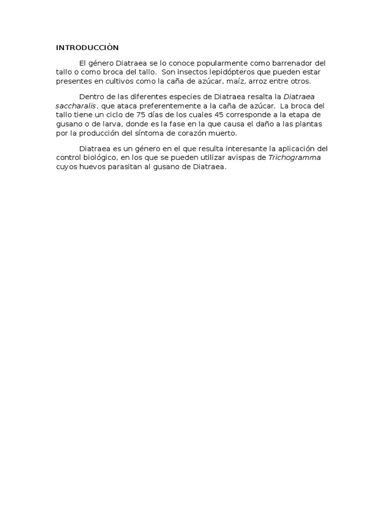 Diatraea Spp. | PDF | Lepidópteros | Insectos