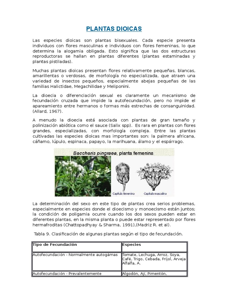Plantas Monoicas | PDF | Mitosis | Interacciones biológicas