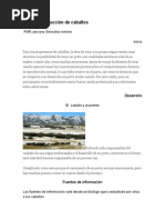 Ciclo de Vida de La Vaca | PDF | Vacas | Leche