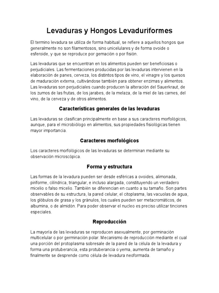 Levaduras Y Hongos Levaduriformes Pdf Levadura Hongo