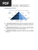 Structure of MIS | PDF | Management Information System | Software