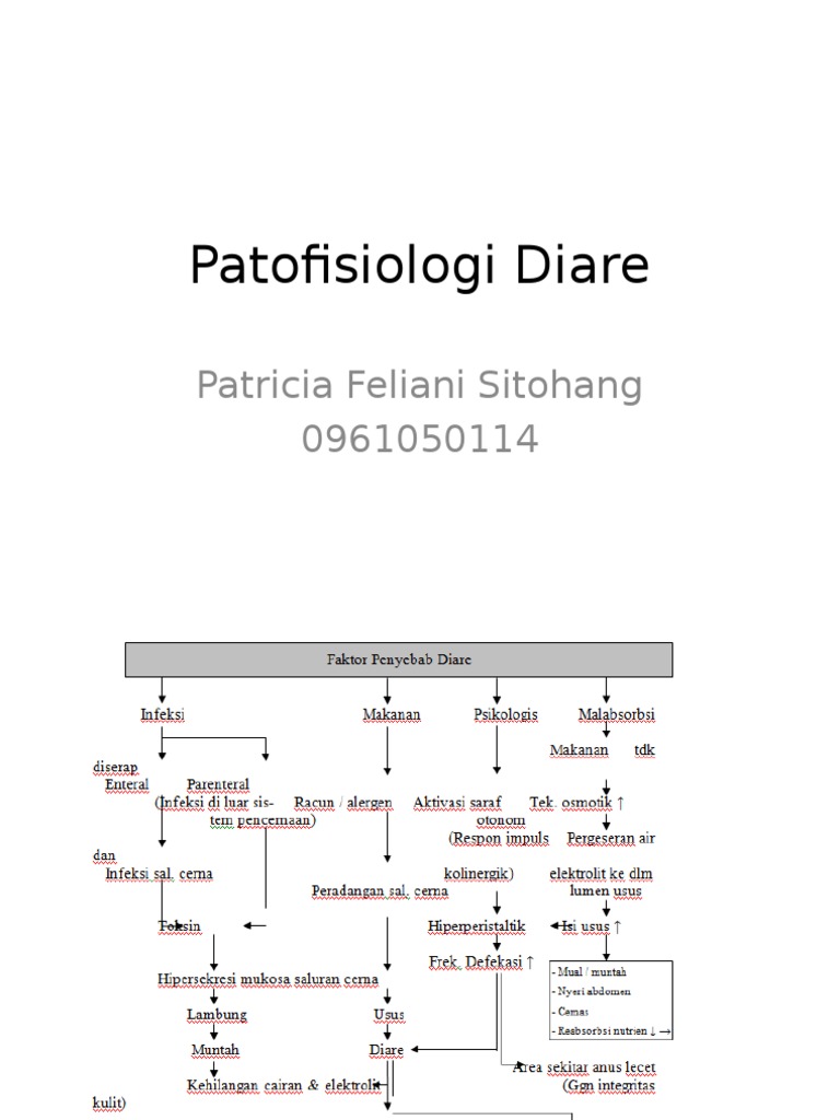 Patofisiologi Diare | PDF