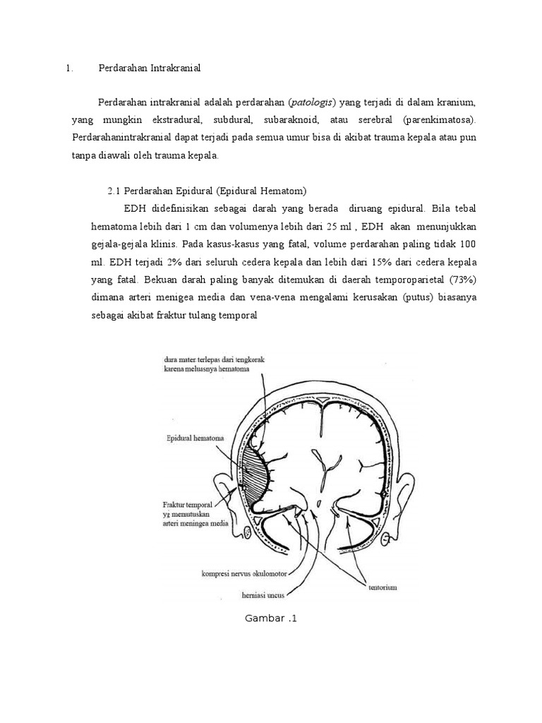 Perdarahan Intrakranial | PDF | Sains & Matematika