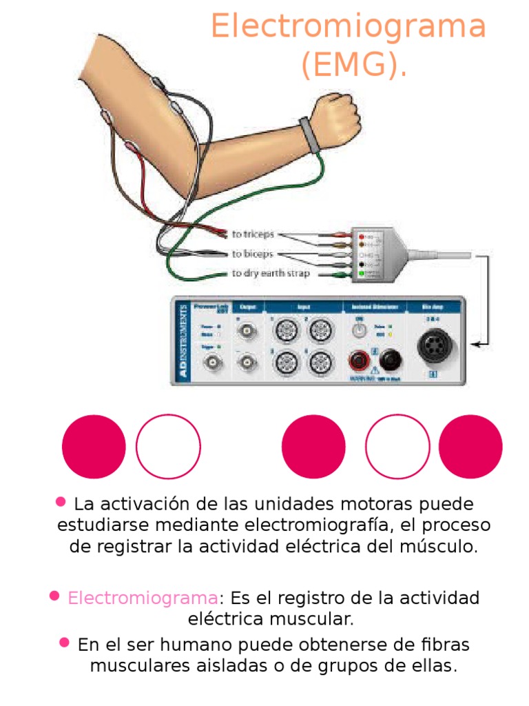 Electromiograma | Descargar gratis PDF | Electromiografia | Músculo