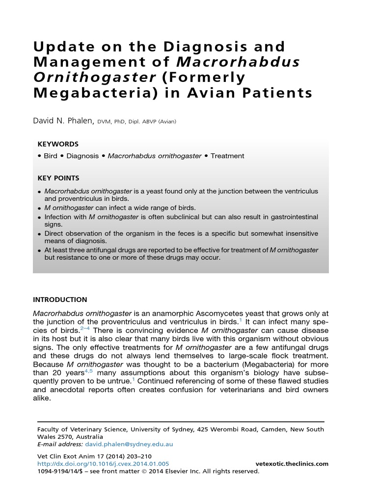 Mega Bacteria | PDF | Staining | Infection