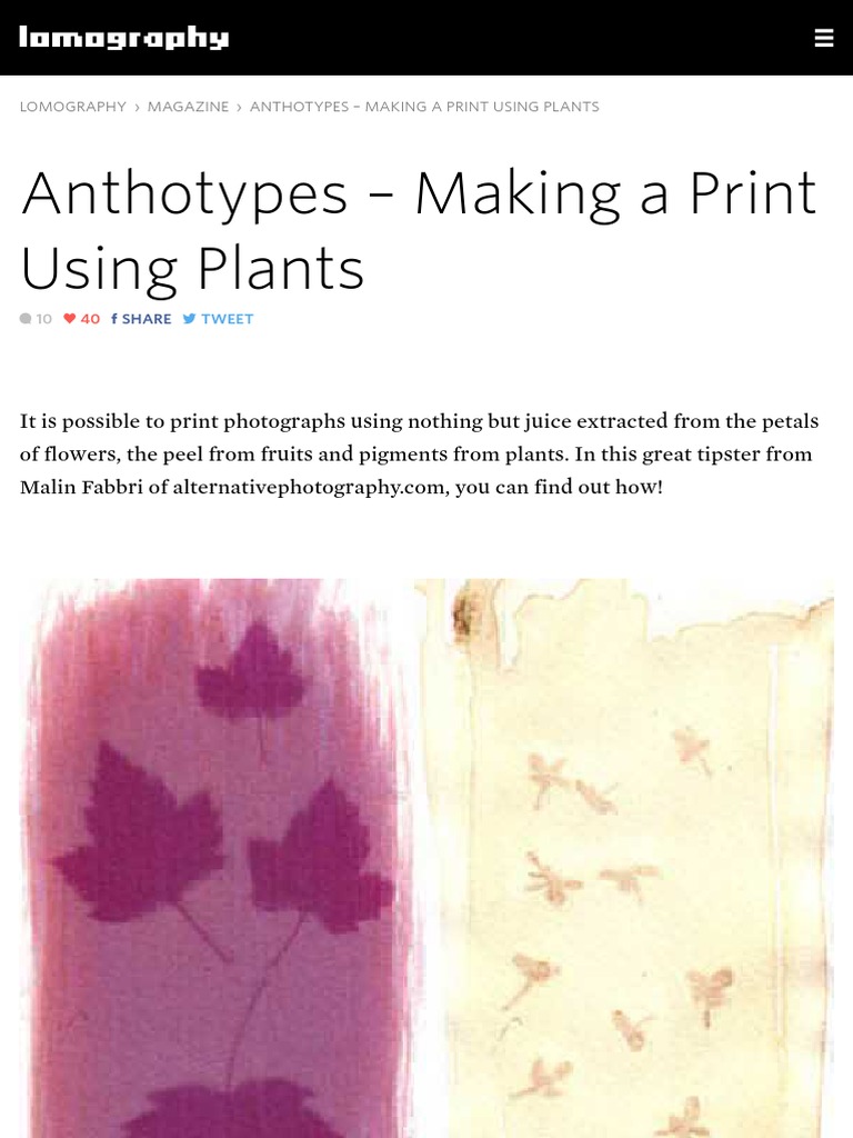 Anthotypes - Making A Print Using Plants Lomography | PDF | Photograph ...
