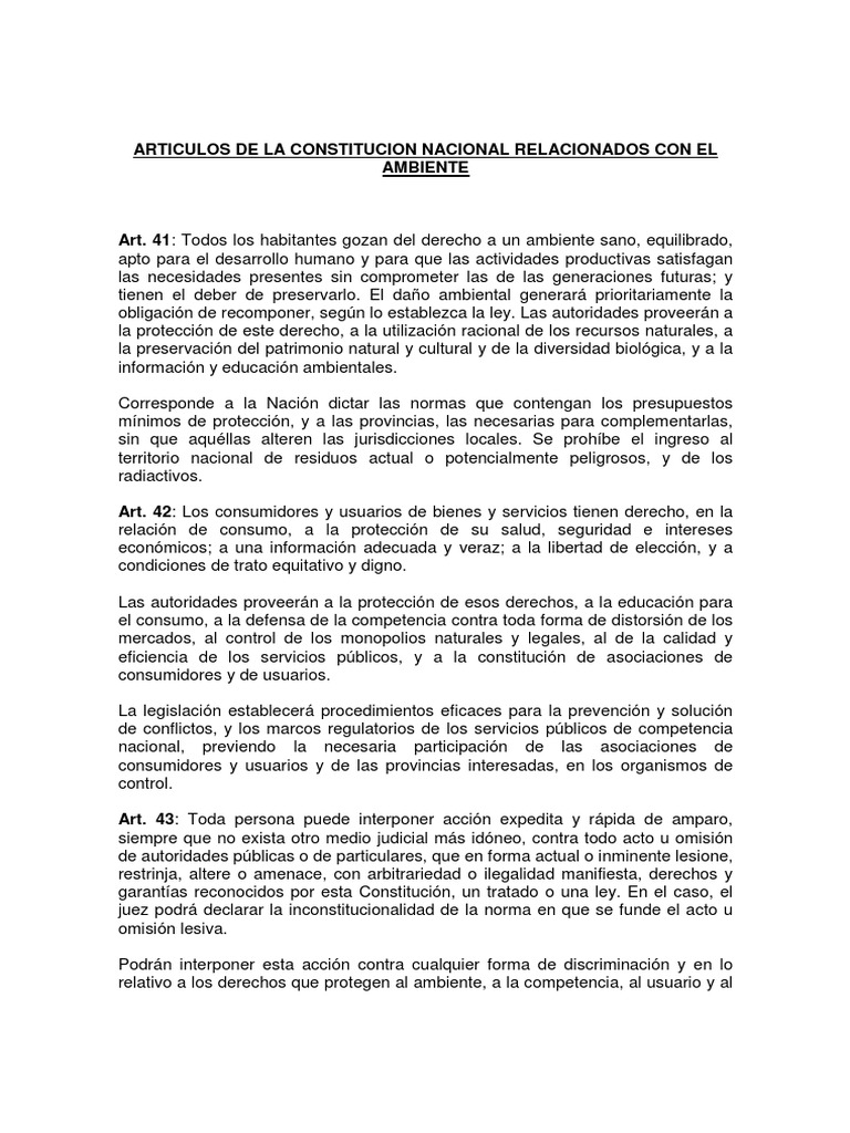 Articulos 41,42,43 de La Constitución Nacional | Los consumidores ...
