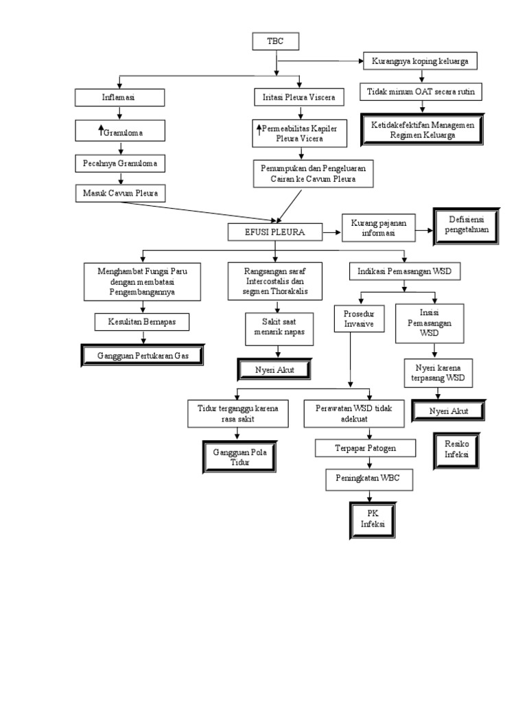 Pathway Efusi Pleura