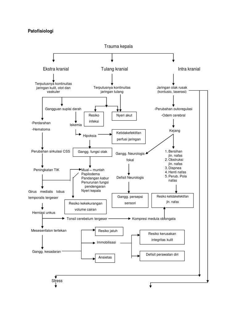 Pathway Cedera Kepala