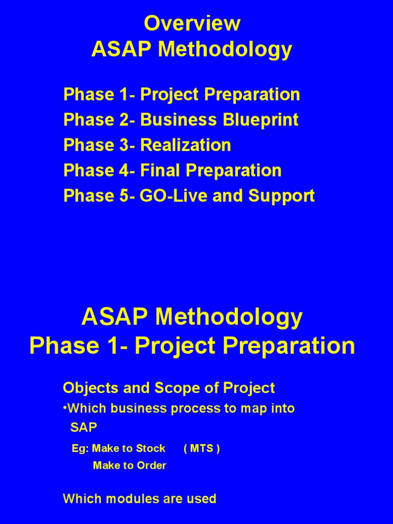 SAP ASAP Methodology Phases Overview | PDF | Business Process ...